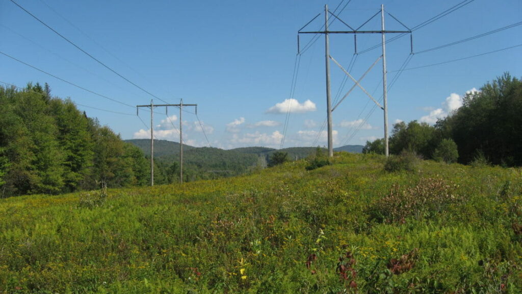 Best Management Practices and Integrated Vegetation Management - TRC ...