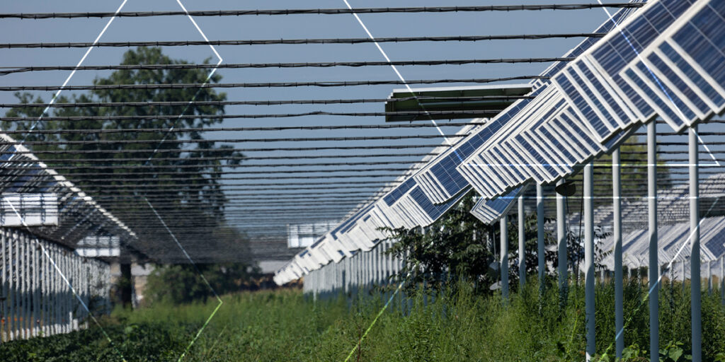 How to Create a Sustainable Agrivoltaics System