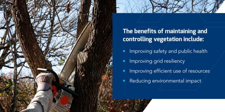 The Essentials of Vegetation Management