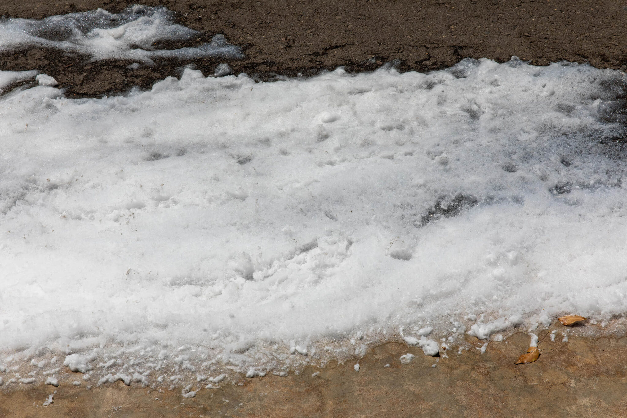 How Does PFAS Contamination Impact the Environment? - TRC Companies