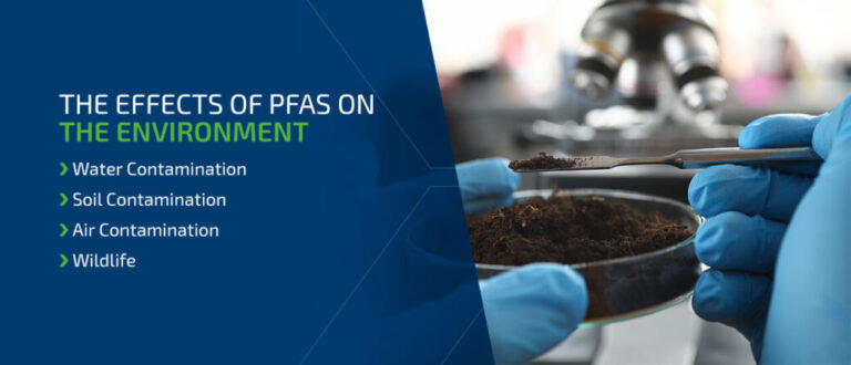 How Does PFAS Contamination Impact the Environment? - TRC Companies