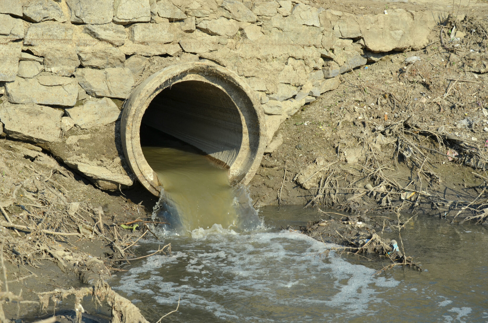 Proposed Use of a Hazard Index for PFAS National Primary Drinking Water ...