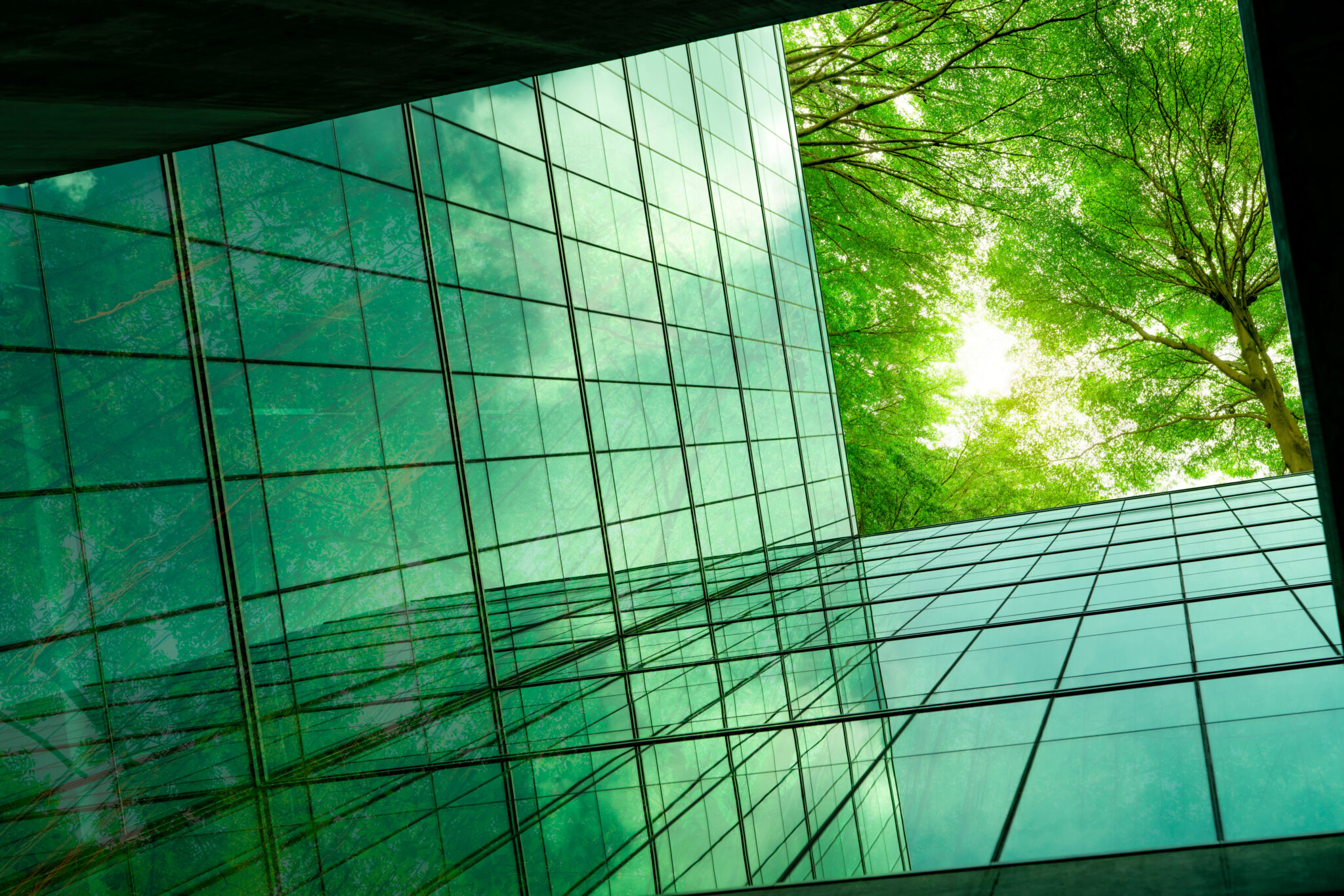 Six Megatrends for Sustainable Business Strategy in 2026 - TRC Companies